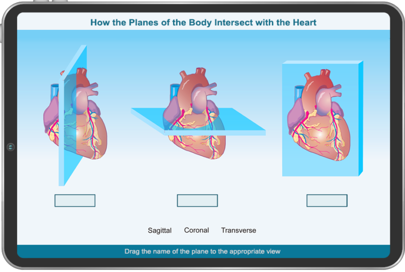 Digital Learning - KDG Life Science